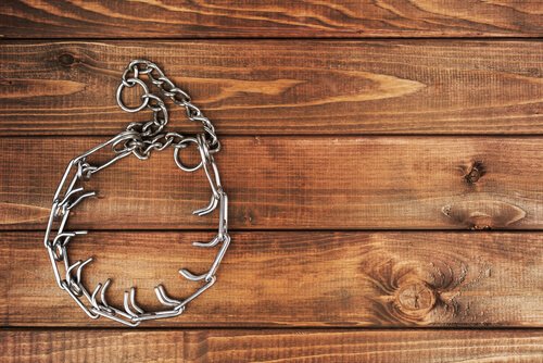 Hundehalsbånd som er forbudte - My Animals hundehalsbånd som er forbudt